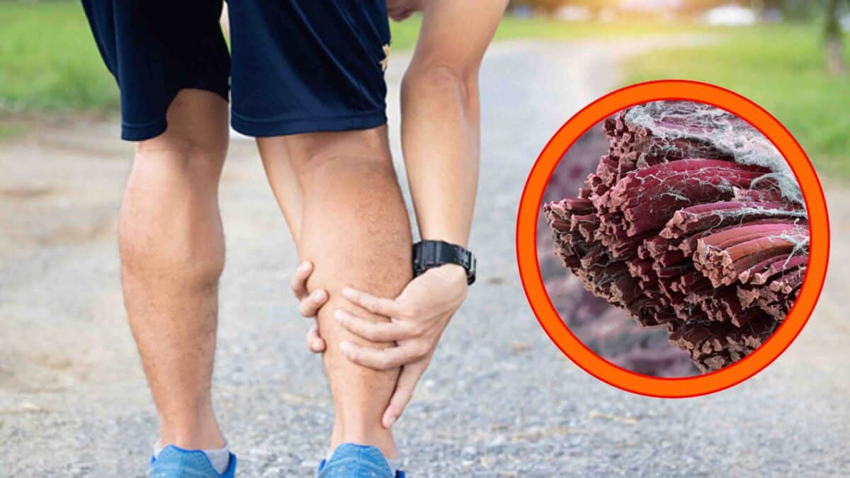 Câimbras - Clínica do Joelho